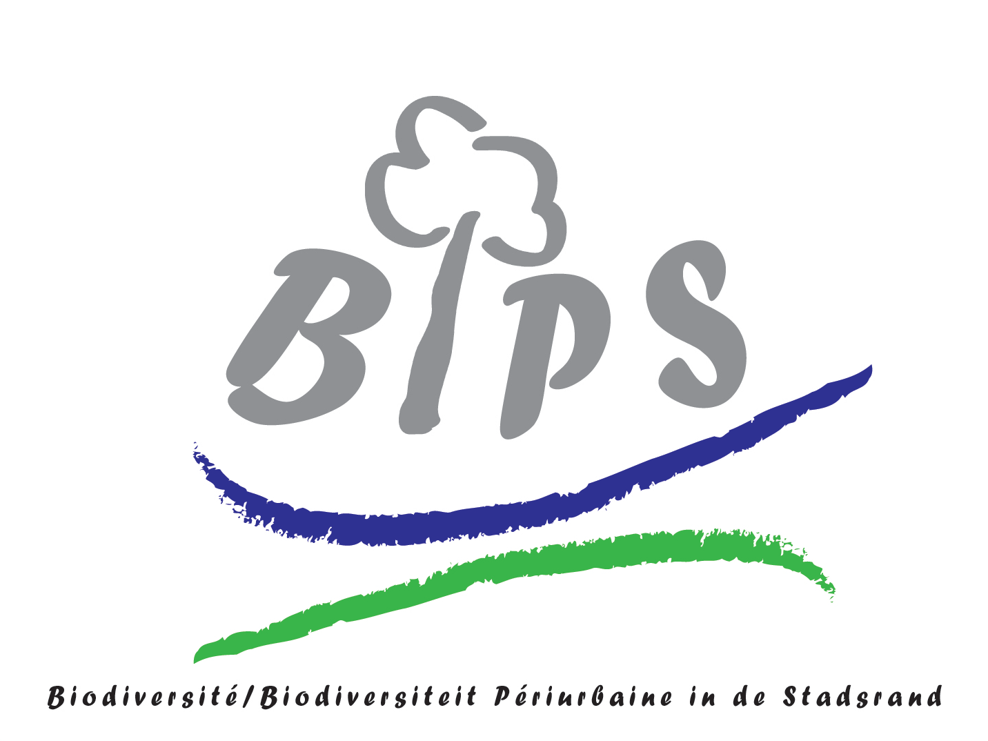 Recherche en cours :: BiPS